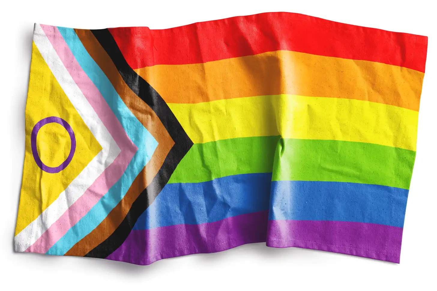 25 LGBTQ+ Pride Flags & Their Meanings (2024)